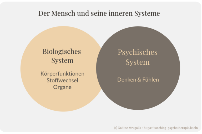Systemische Beratung: Einführung, Methode & Beispiel